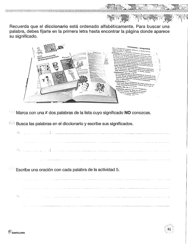 414308032 comprension-lectopolis-b | PDF