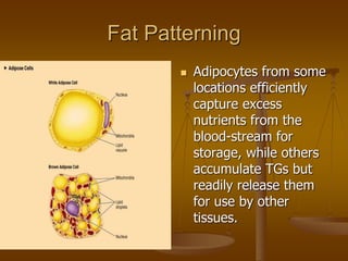 414453900-Obesity-and-weight-control.ppt