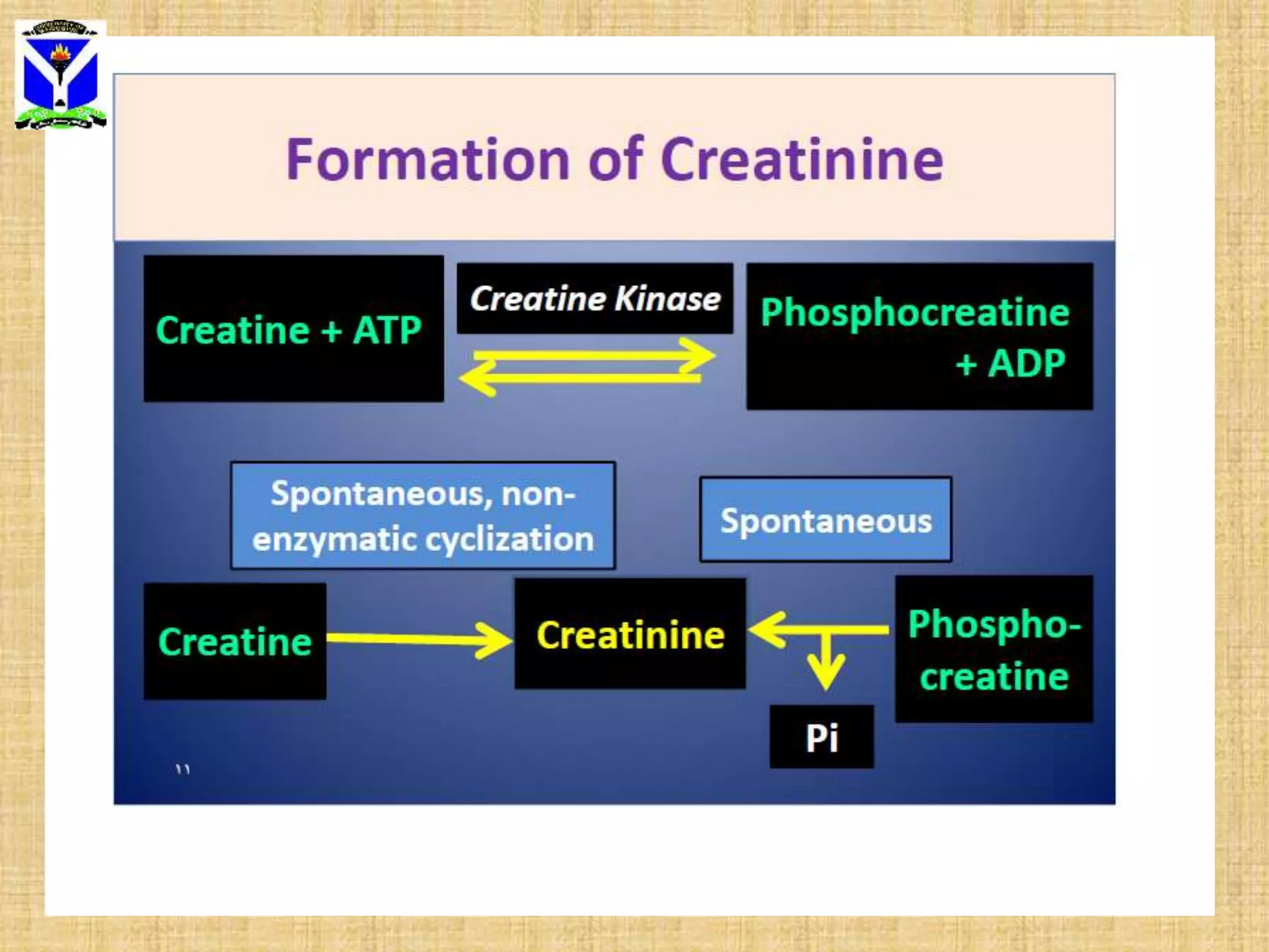 Siwes presentation on biochemistry | PPTX