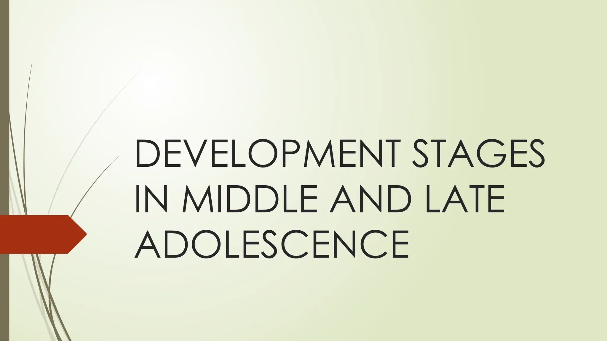 415140067-Development-Stages-in-Middle-and-Late-Ad-Lesson 8.pptx
