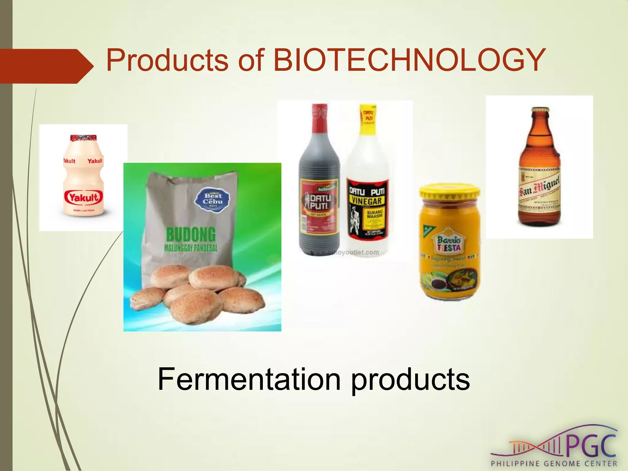 biotechnology a beginner guide to modern agricultural techniques | PPT