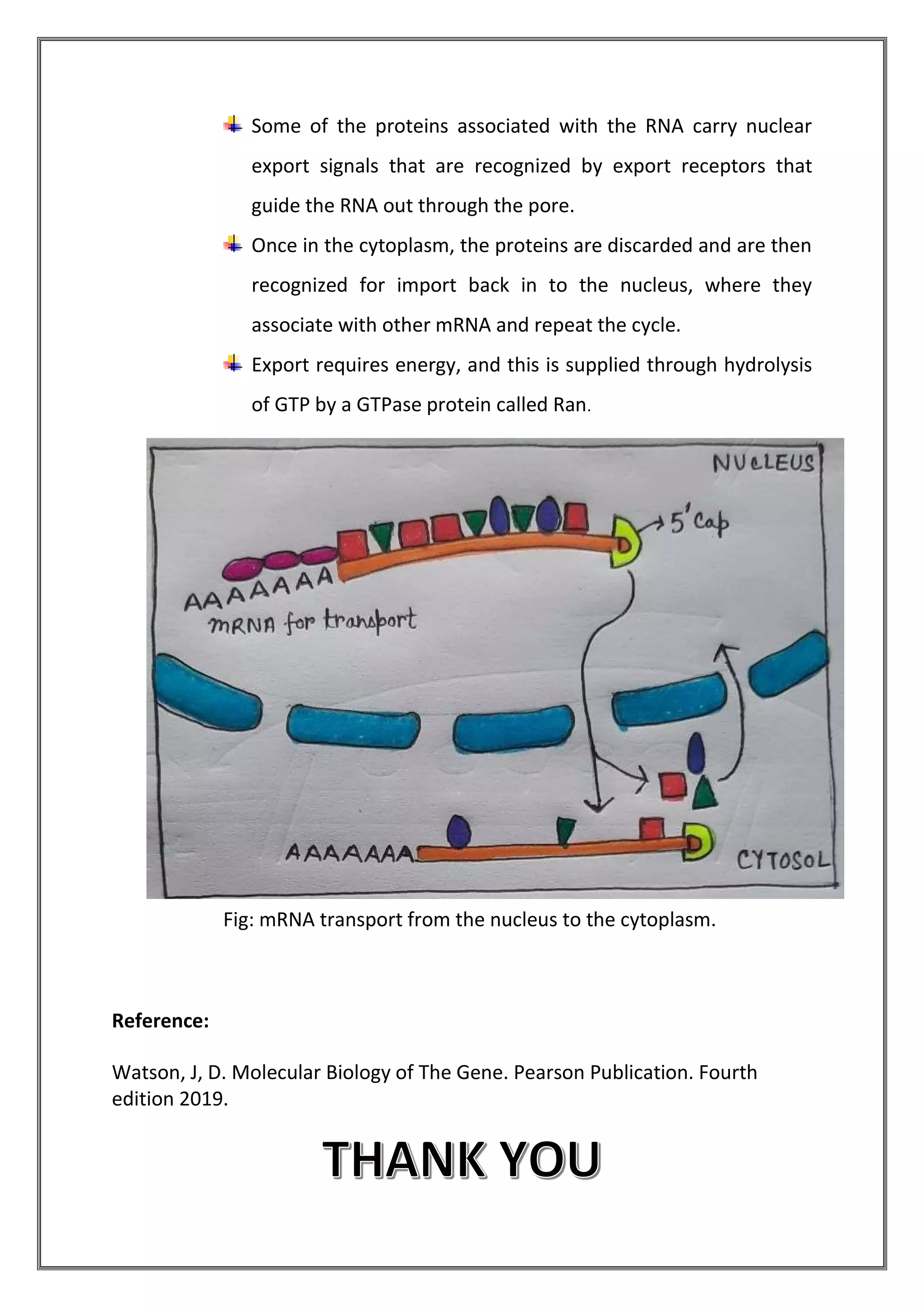 Rna Editing Pdf