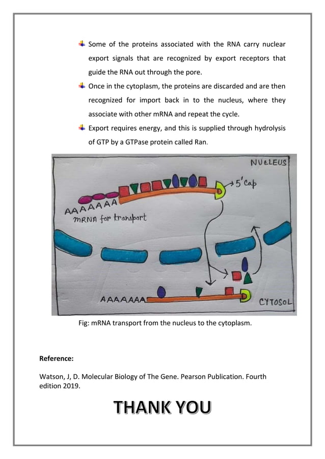 RNA Editing | PDF | Programming Languages | Computing