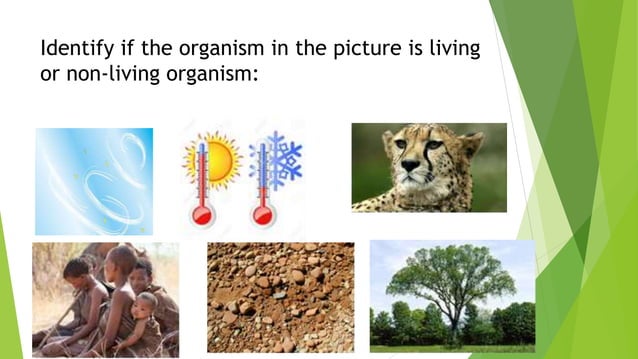 417000364-Differentiate-Biotic-and-Abiotic-Factors-in-the-Environment ...