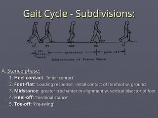 Gait-Biomechanics in diabetic foot -ppt.ppt
