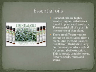 Aromatherapy History Timeline