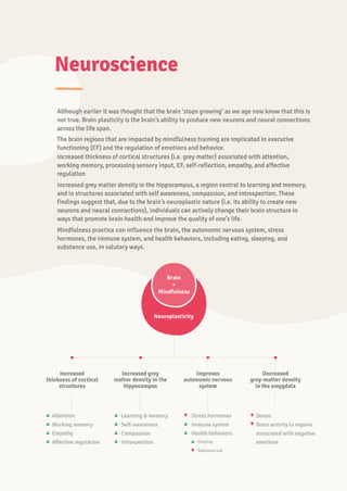 MindOn Brochure | PDF