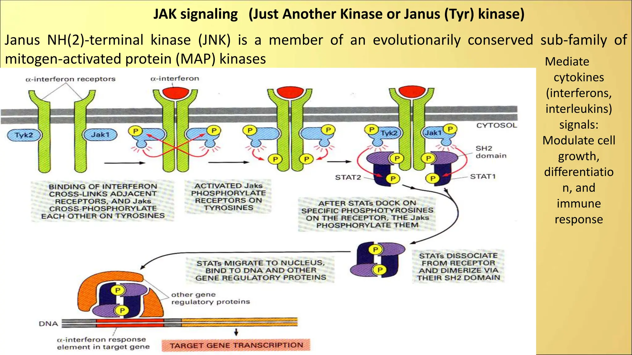 4183 abcdefghijklmnofqrstuvwxyz12345.ppt