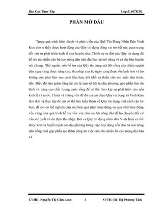 Báo Cáo Thực Tập Quỹ Tín Dụng Nhân Dân Vinh Kim | PDF