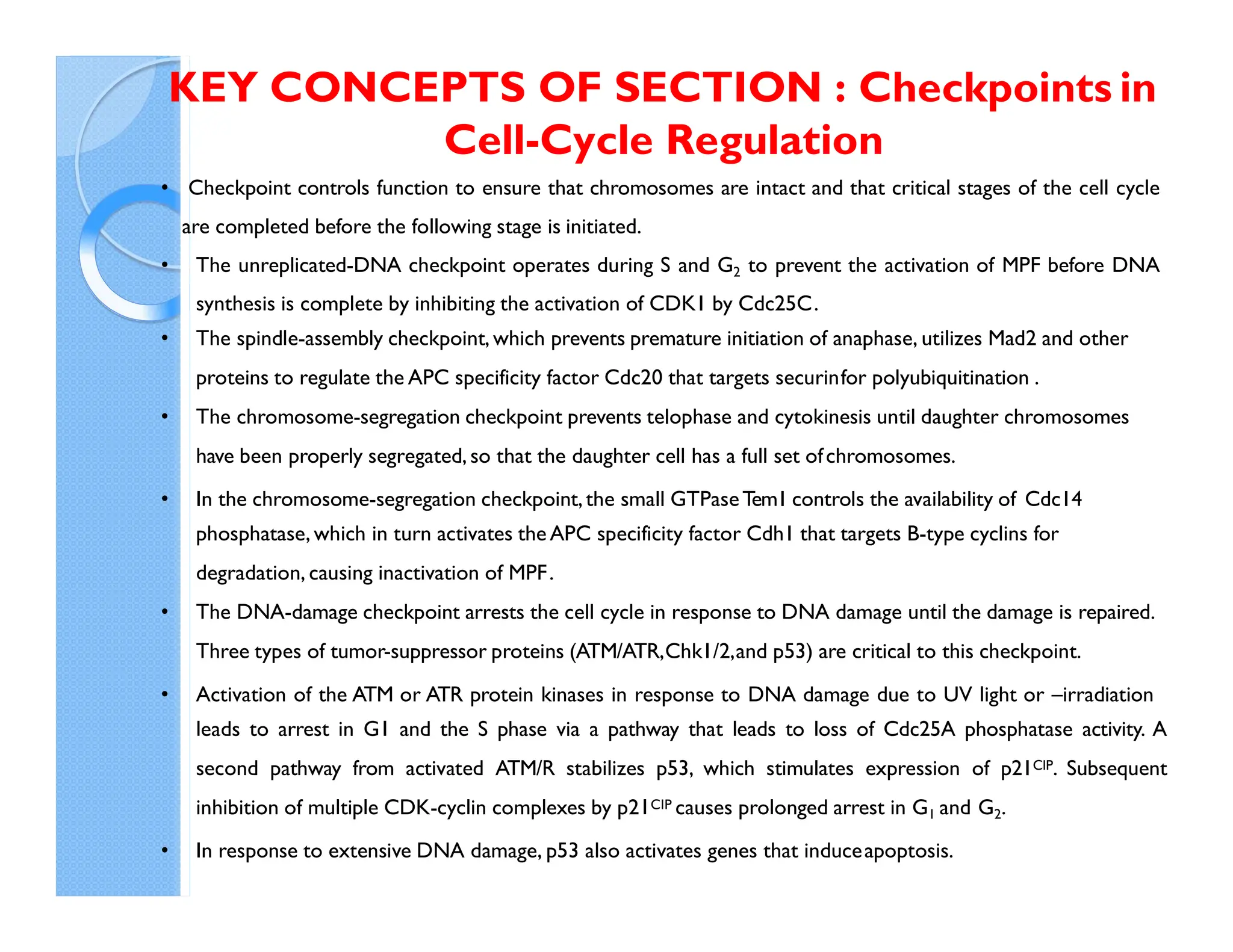4192_Cyclins CDKs, cell cycle regulation and checkpoints.pdf