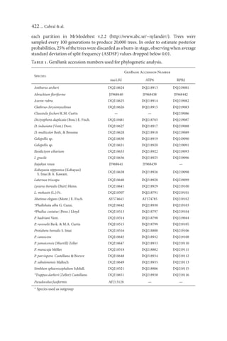 Abrachium, a new genus in the Clathraceae, and Itajahya reassessed | PDF