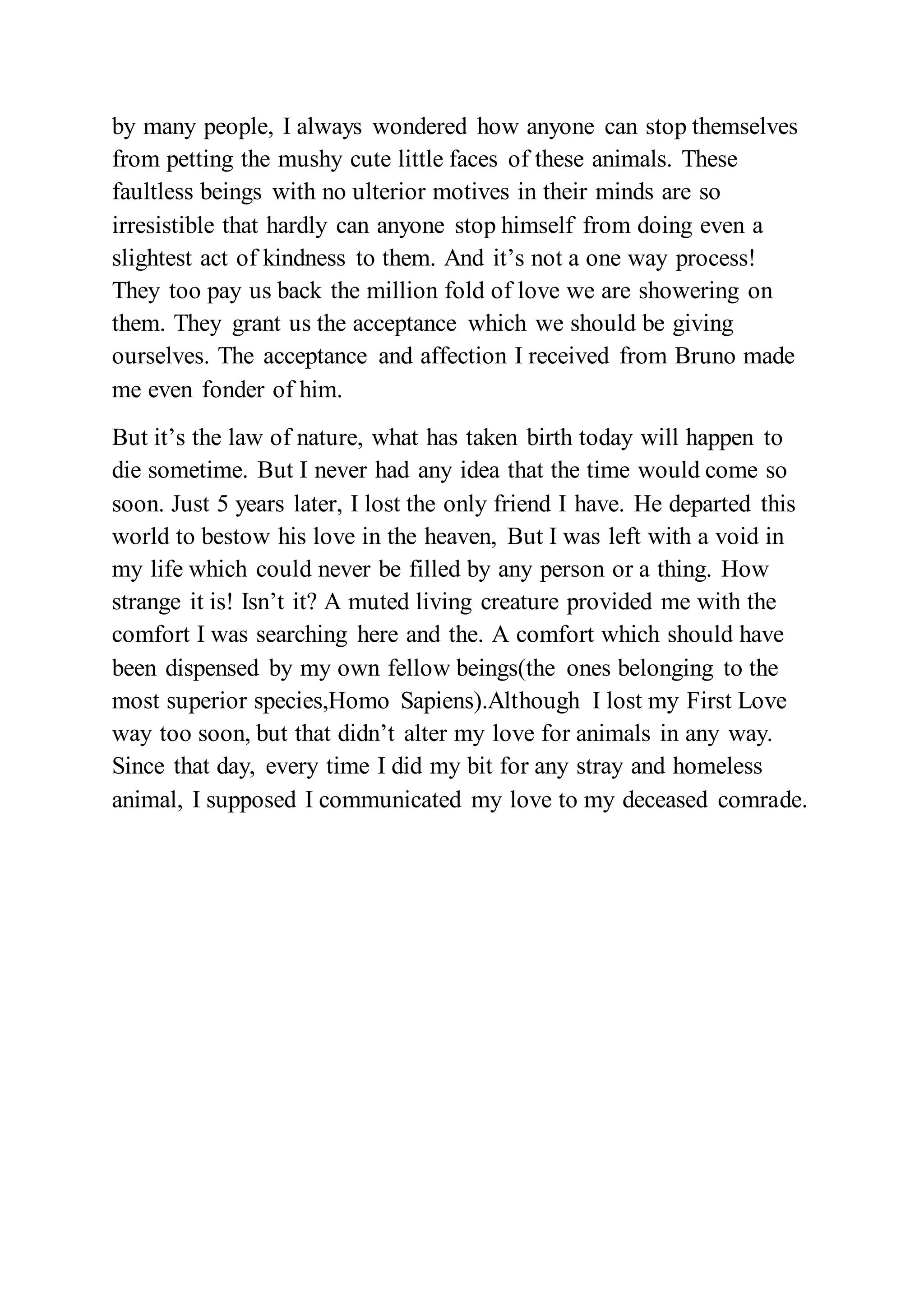 My First Love Pdf 