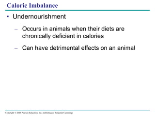 41_ANIMAL_DIGESTION_ppt.ppt