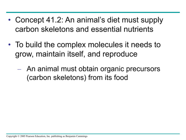 41_ANIMAL_DIGESTION_ppt.ppt
