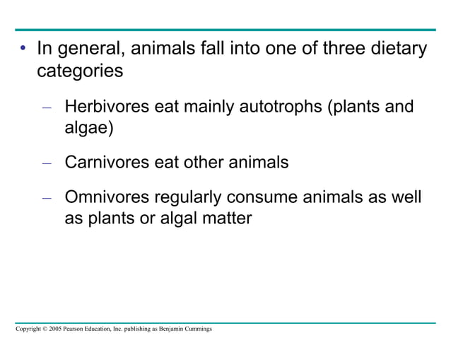 41_ANIMAL_DIGESTION_ppt.ppt