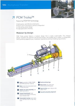 PCM Oil & Gas Multiphase Transfer | PDF