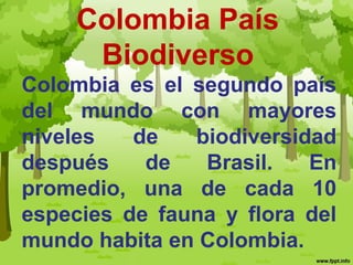 ECOSISTEMAS COLOMBIANOS | PPT