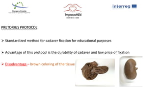 Tissue and organ fixation for educational and scientific purpose