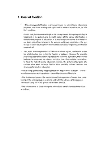 Notes for Fixation of tissues and organs for educational and scientific ...
