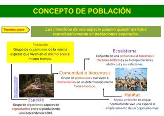 4 1 especies, comunidades y ecosistemas | PPTX