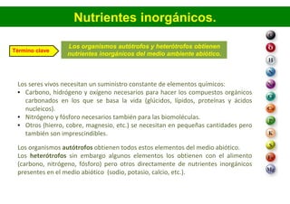 4 1 especies, comunidades y ecosistemas | PPTX