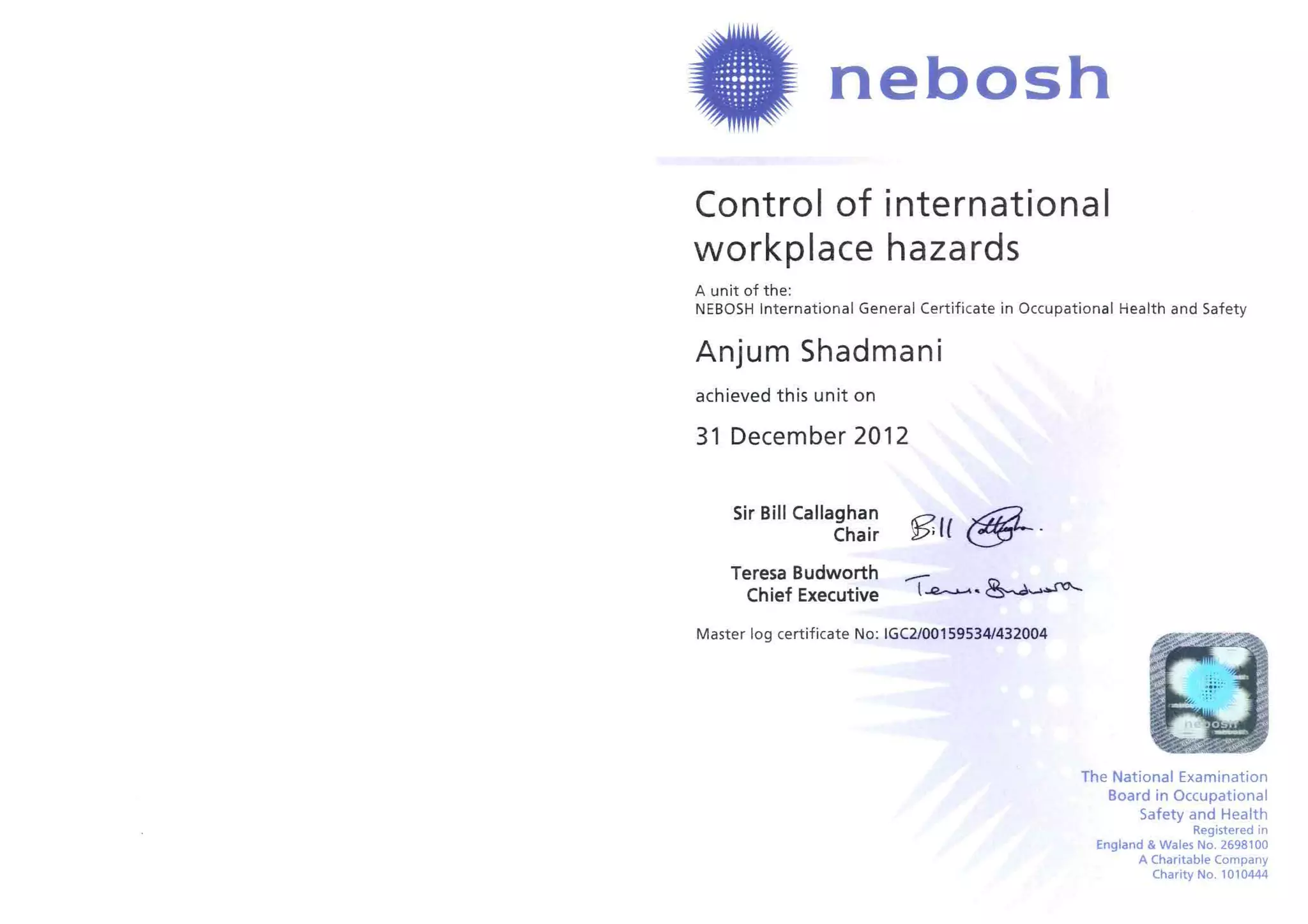 NEBOSH | PDF