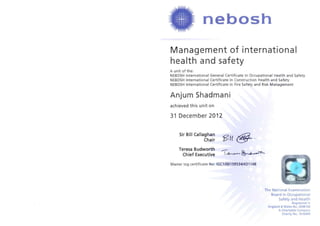 NEBOSH | PDF
