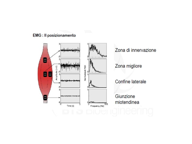 Fatigue and EMG | PDF