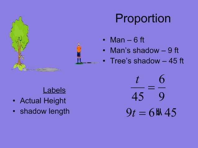 4 1 Proportions | PPT