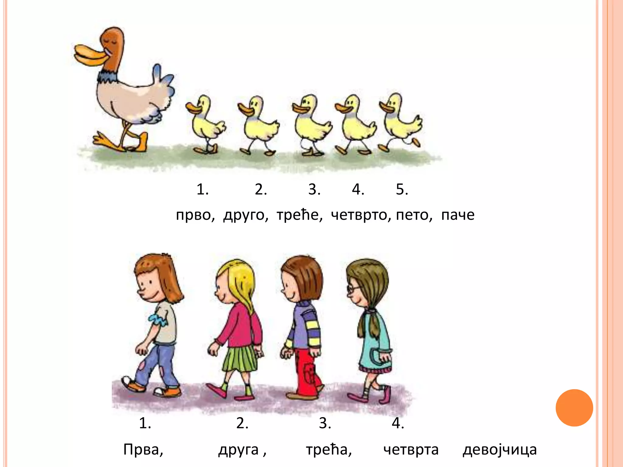 41 redni brojevi_ | PPT