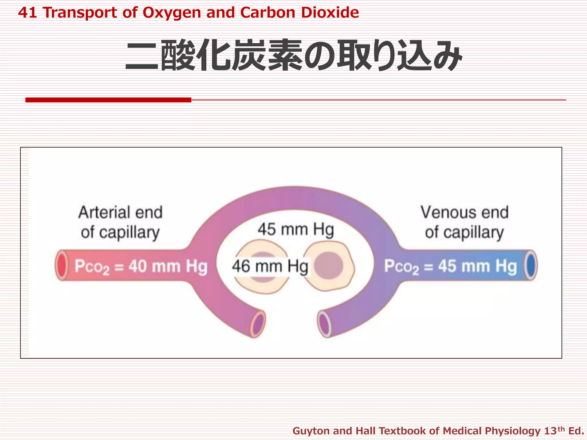 41 transport of o2 and co2 in blood and tissue fluids | PPTX