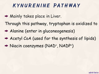 Metabolism of Tryptophan and its disorders. | PPSX