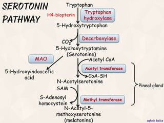 Metabolism of Tryptophan and its disorders. | PPSX