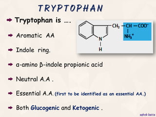 Metabolism of Tryptophan and its disorders. | PPT | Free Download