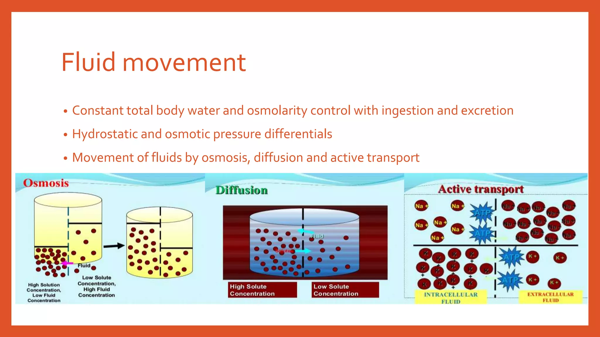 Disorders of fluid balance, electrolyte disturbances and acid base ...