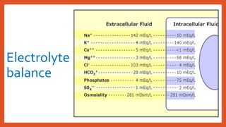 Disorders of fluid balance, electrolyte disturbances and acid base ...