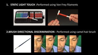 CLASSIFICATION OF NERVE INJURIES | PPTX