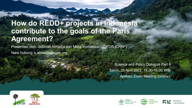 How do REDD+ projects in Indonesia contribute to the Paris Agreement | PPT