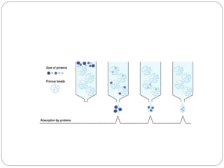 downstream processing introduction and summary | PDF | Chemistry | Science