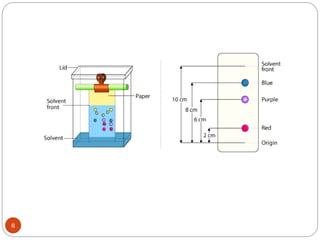 downstream processing introduction and summary | PDF | Chemistry | Science
