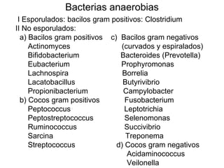 1.- MICROBIOLOGIA - Bacterias Anaerobios | PPT
