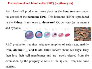 4_2017_12_05!05_45_31_PM.pptx