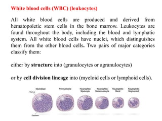 4_2017_12_05!05_45_31_PM.pptx