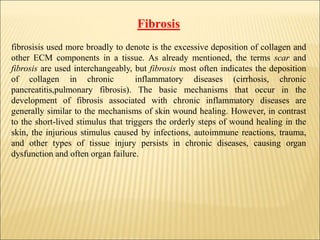 4_2017_12_11!09_27_55_PM.ppt