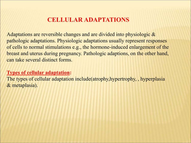 Cellular adaptations | PPT