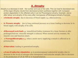 Cellular adaptations | PPT