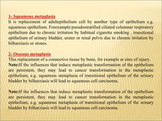 Cellular adaptations | PPT