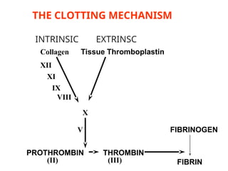 Blood coagulation mechanism and hemostasis | PPT