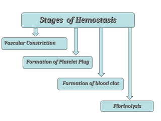 Blood coagulation mechanism and hemostasis | PPT
