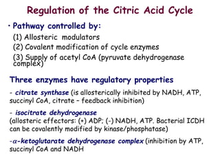the citric acid cycle or krab cycle in plant physiology | PPT